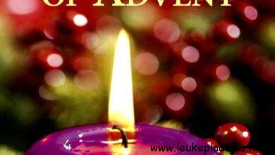 ᐅ 1e Adventzondag - Leukeplaatjes.nl