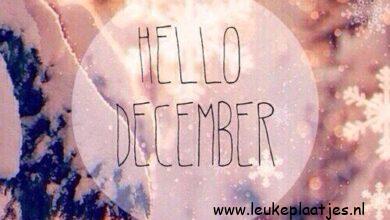 ᐅ December - Leukeplaatjes.nl