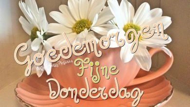 ᐅ fijne donderdag humor - Donderdag - Leukeplaatjes.nl
