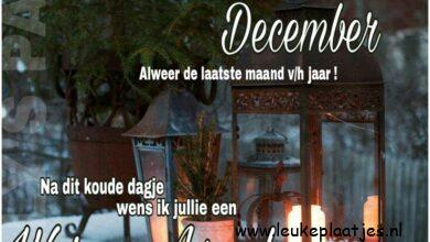 ᐅ hallo december - December - Leukeplaatjes.nl