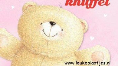 ᐅ Knuffels Plaatjes en Gifs - Leukeplaatjes.nl