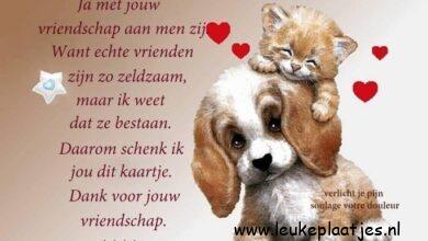 ᐅ Vriendschap - Leukeplaatjes.nl