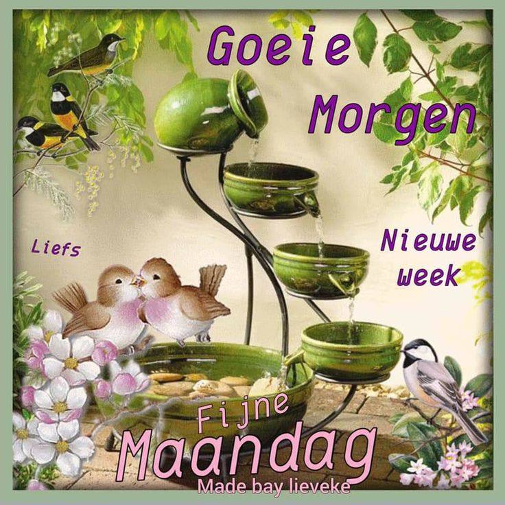 Fijne Maandag Bloemen Maandag Leukeplaatjes nl Fijne Maandag Bloemen Maandag Leukeplaatjes nl