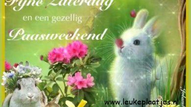 ᐅ Pasen Plaatjes en Gifs - Leukeplaatjes.nl