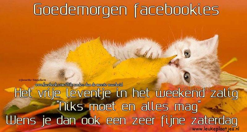 ᐅ Zaterdag - Leukeplaatjes.nl