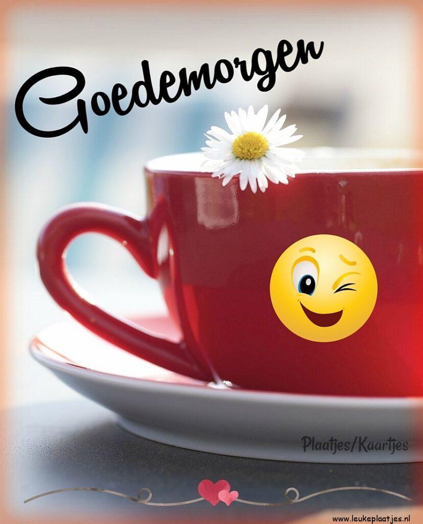 Hartverwarmende plaatjes goedemorgen voor een stralende dag