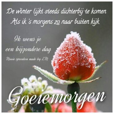 Hartverwarmende goedemorgen humor voor een vrolijke dag