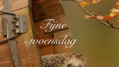 ᐅ fijne woensdag - Woensdag - Leukeplaatjes.nl