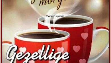 ᐅ goedemorgen zondag humor - Zondag - Leukeplaatjes.nl