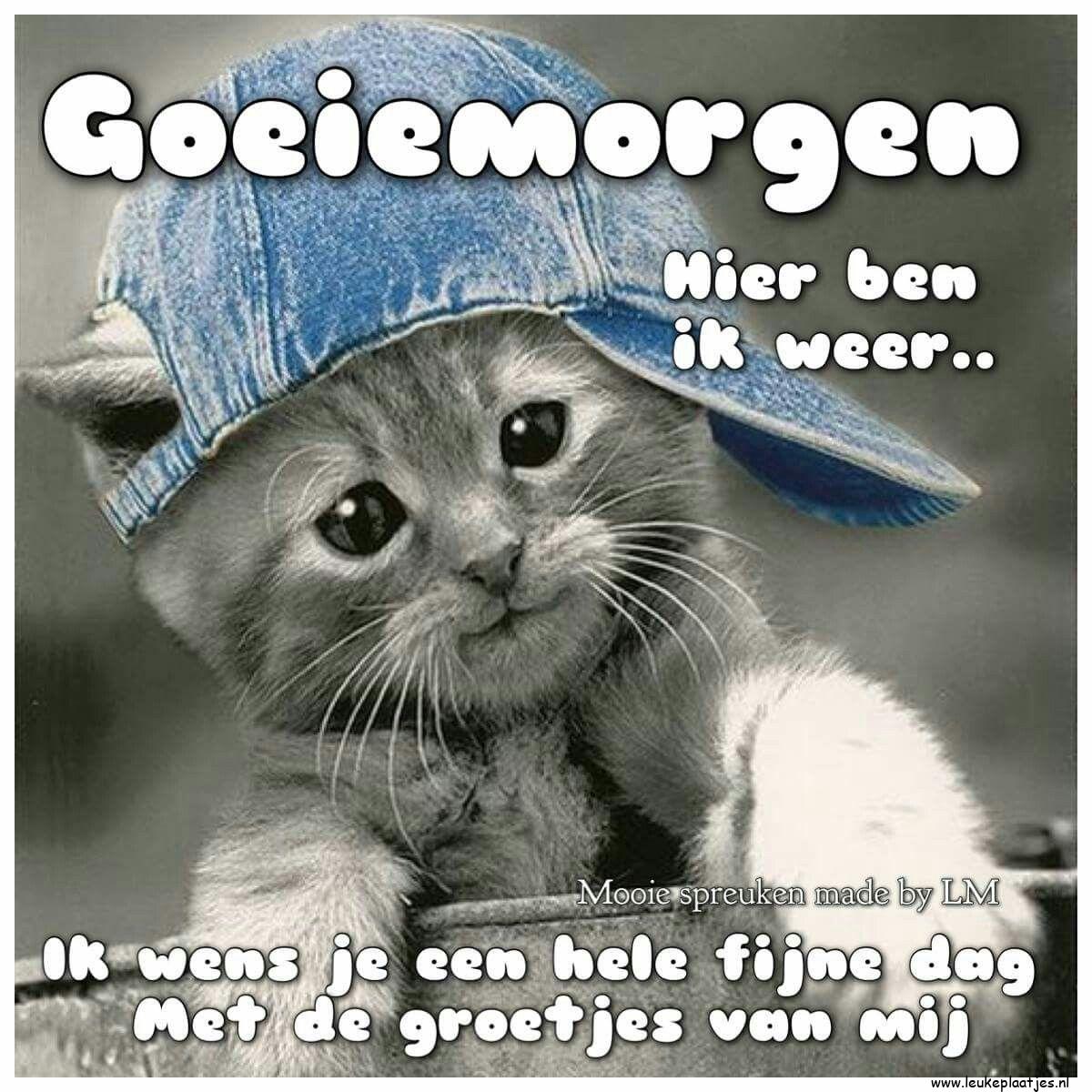 ᐅ grappige goedemorgen - Goedemorgen - Leukeplaatjes.nl