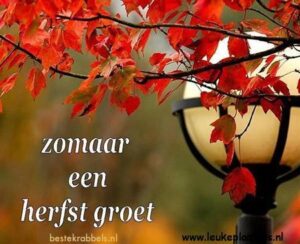 ᐅ Herfst Plaatjes en Gifs - Leukeplaatjes.nl