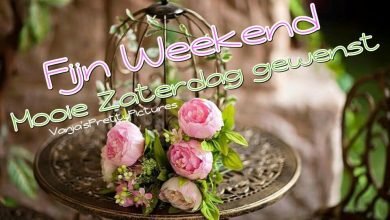 ᐅ fijne zaterdag bloemen - Zaterdag - Leukeplaatjes.nl