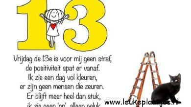 бђ Vrijdag Leukeplaatjes Nl